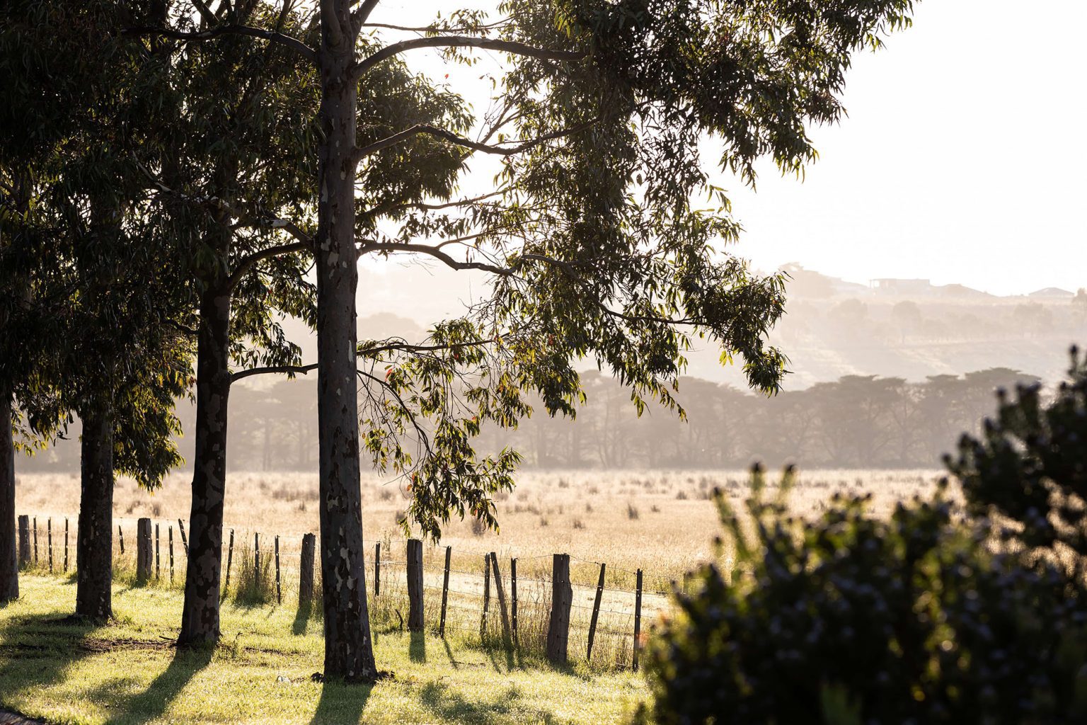 The Design Philosophy Behind Dunhelen | Dunhelen Greenvale